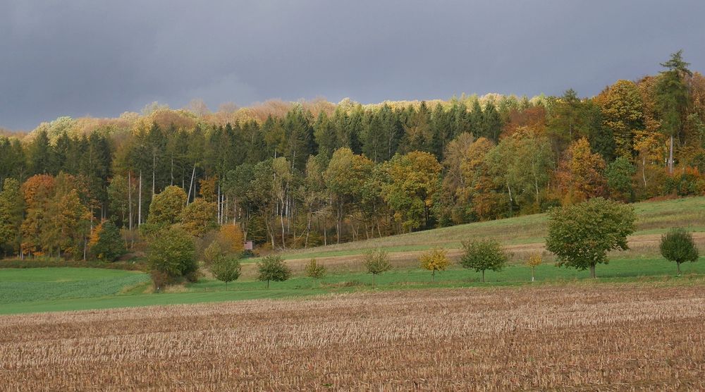 Manchmal scheint auch die Sonne :-) Foto & Bild | natur, jahreszeiten ...
