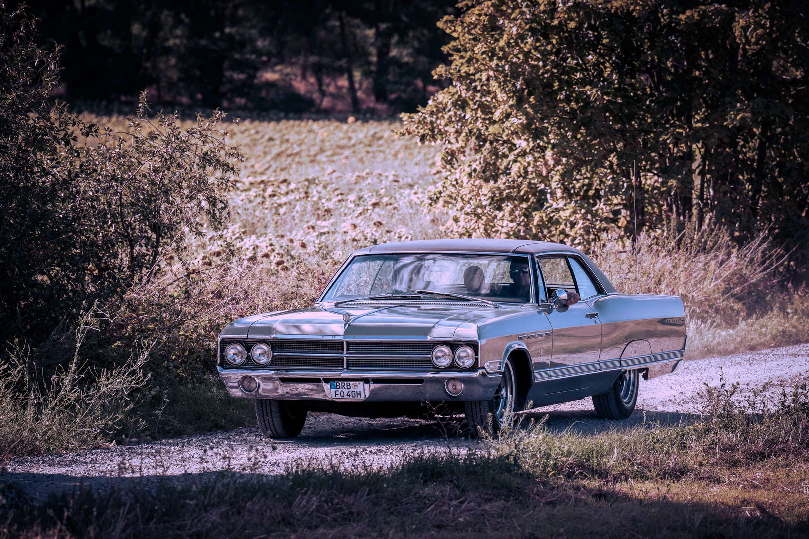 Mandy und Randy Foto & Bild | szene, rock 'n roll, menschen Bilder auf ...