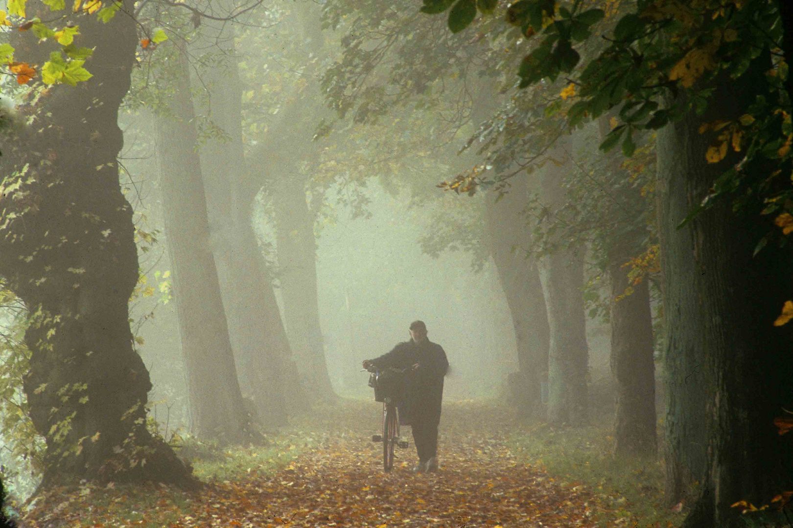 Mann im Nebel Foto & Bild | erwachsene, alltagsereignisse, menschen in ...