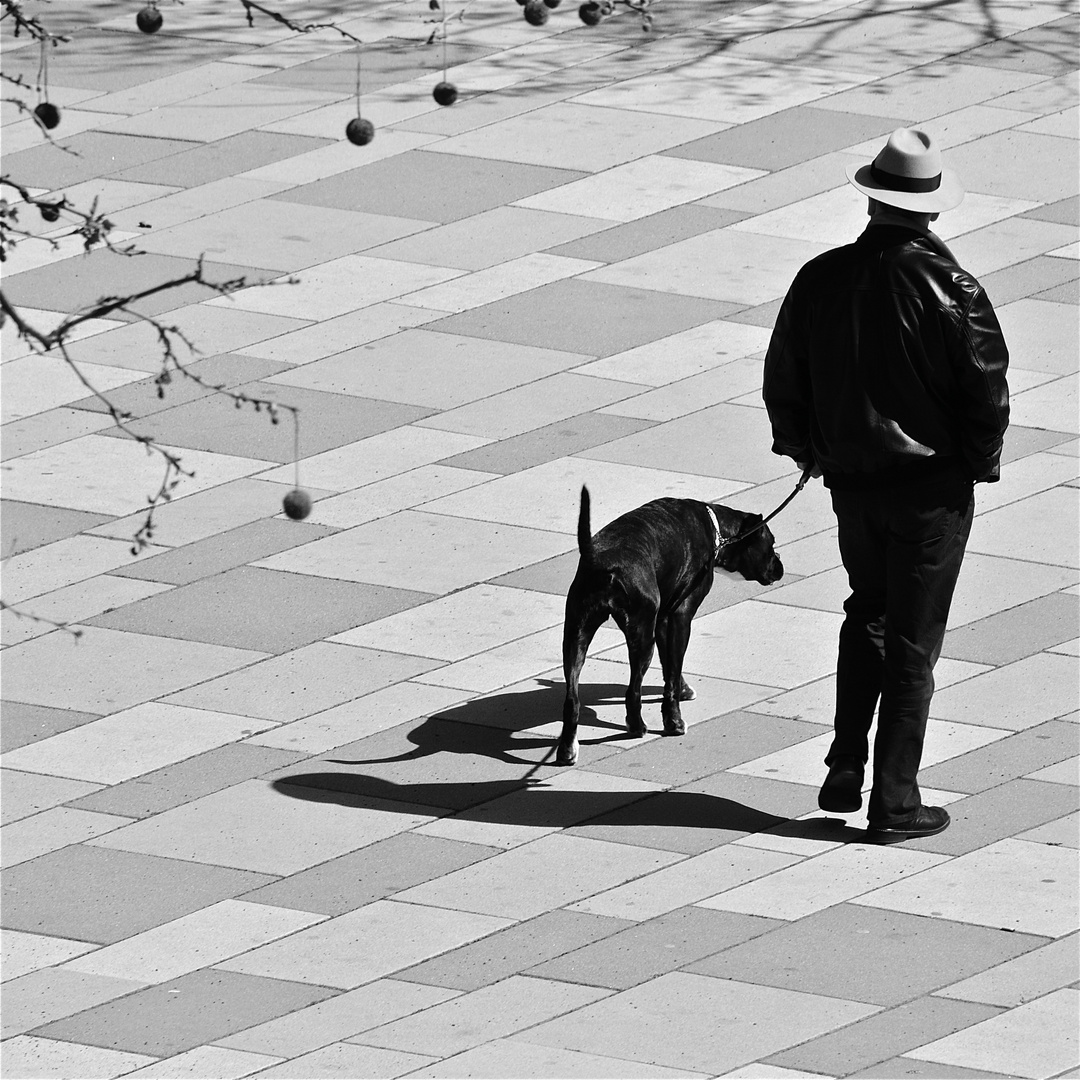 Mann mit Hund Foto & Bild | streetfotografie mit menschen, kommunikation; grafik; szenen ...