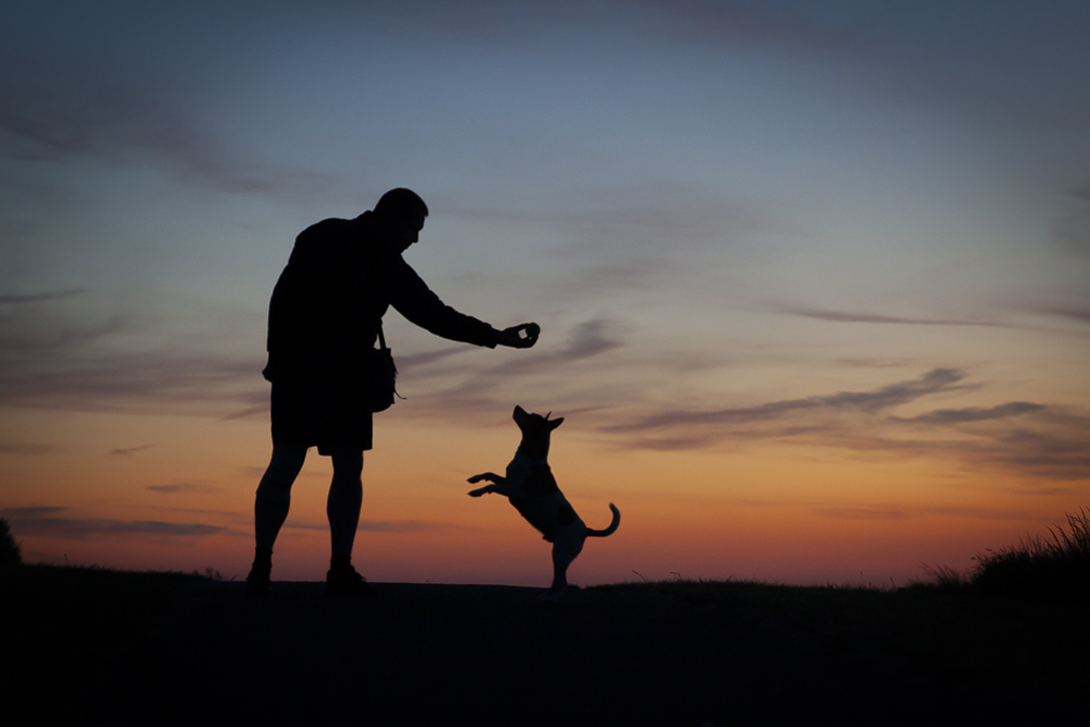 Mann mit Hund Foto & Bild | fotos, people, dokumentation Bilder auf ...