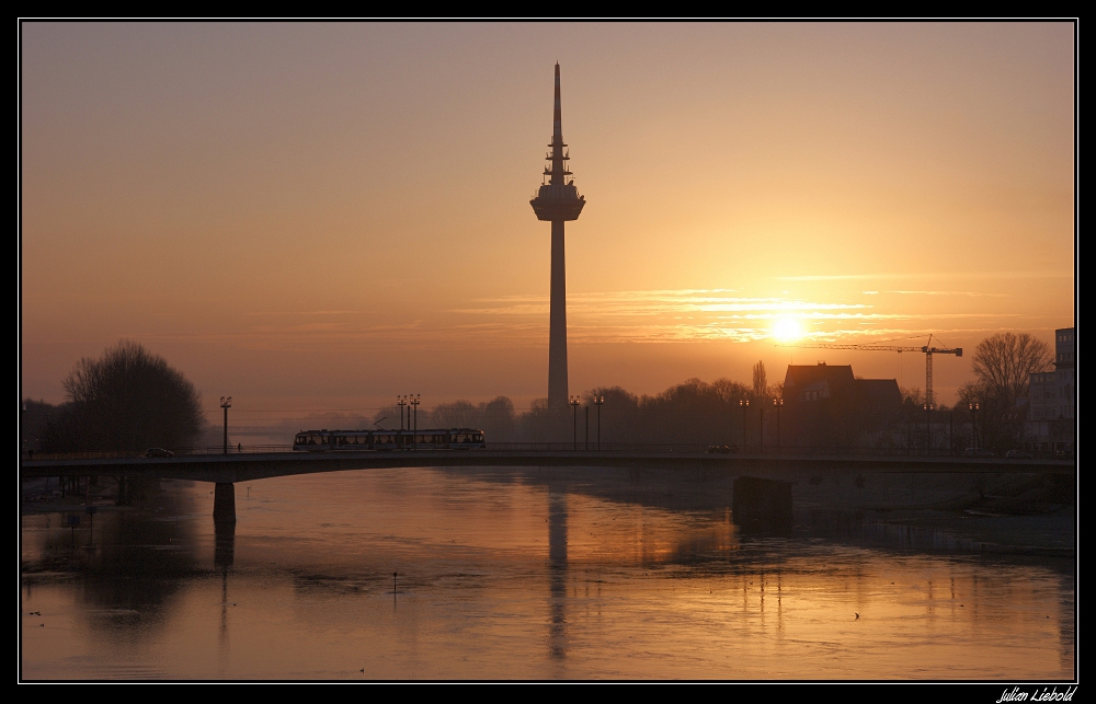 Mannheimer Morgen Foto & Bild | schmalspur, eisenbahn, verkehr ...