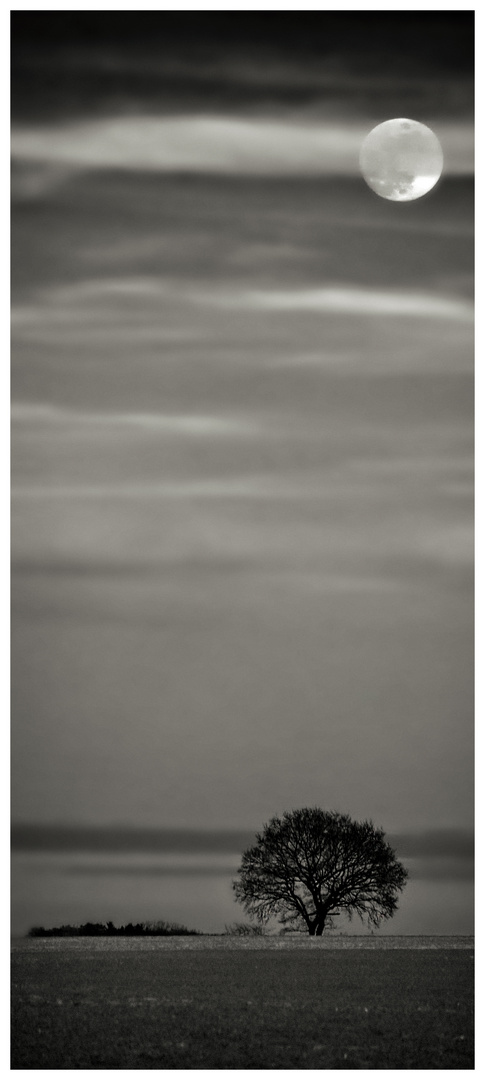 Many moons ago Foto & Bild | landschaft, black and white, natur Bilder ...