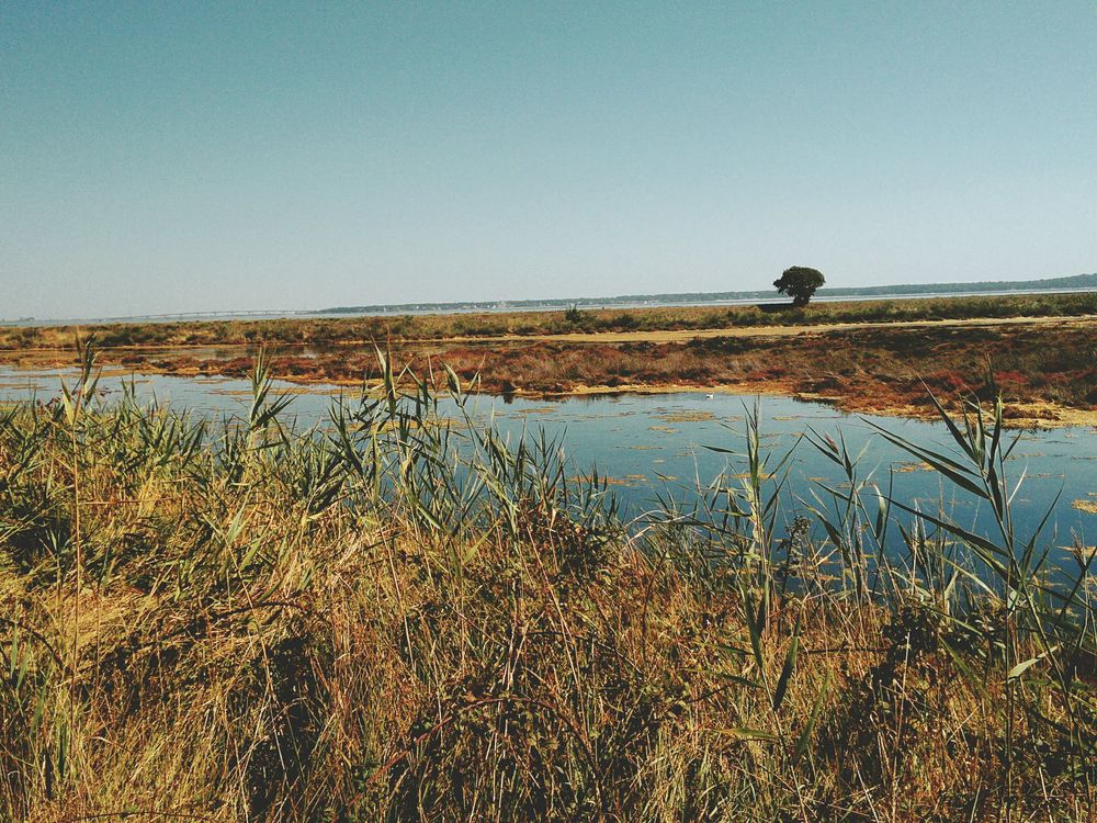 Marais photo et image | Images fotocommunity