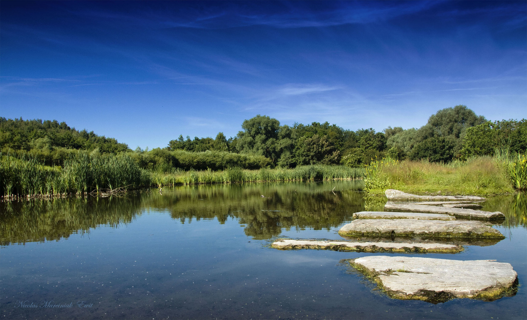 Marais photo et image | paysages, nature & paysages, nature Images ...