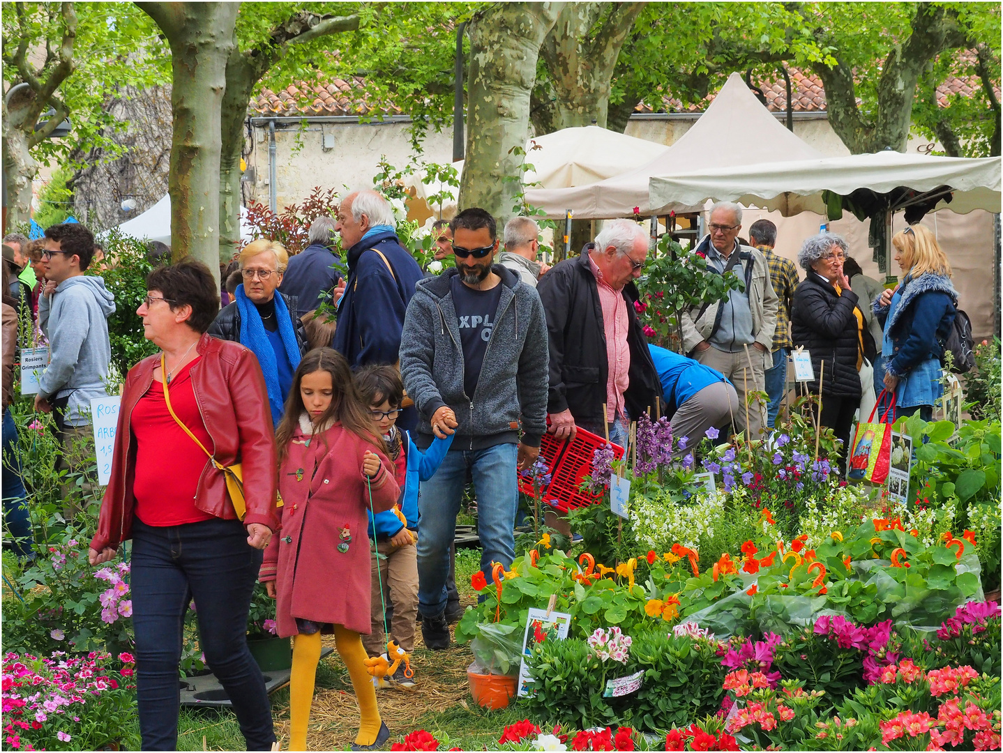 Marché aux fleurs de Fourcès… photo et image | frankreich, marché ...