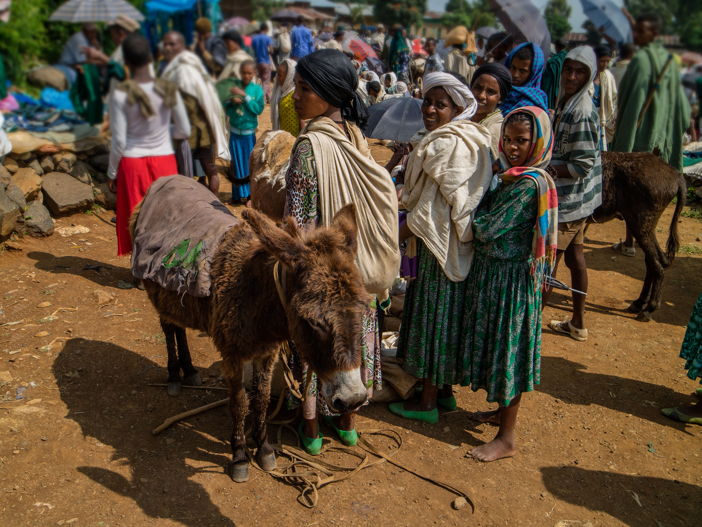 Marché du samedi, quelque part entre Axum et Adigrat. photo et image ...