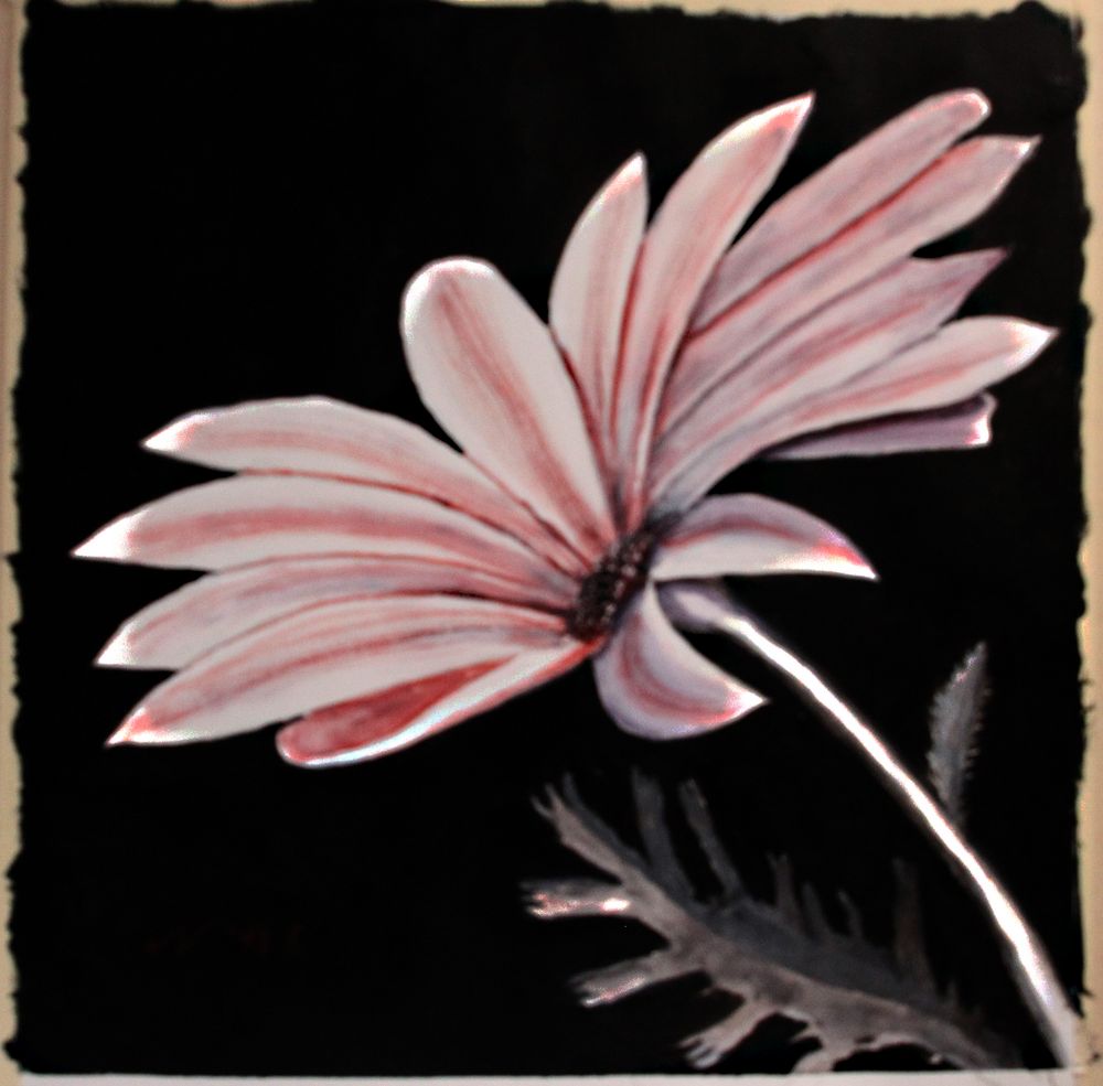 Margerite Foto & Bild | kunst, art, acrylbild margerite Bilder auf ...