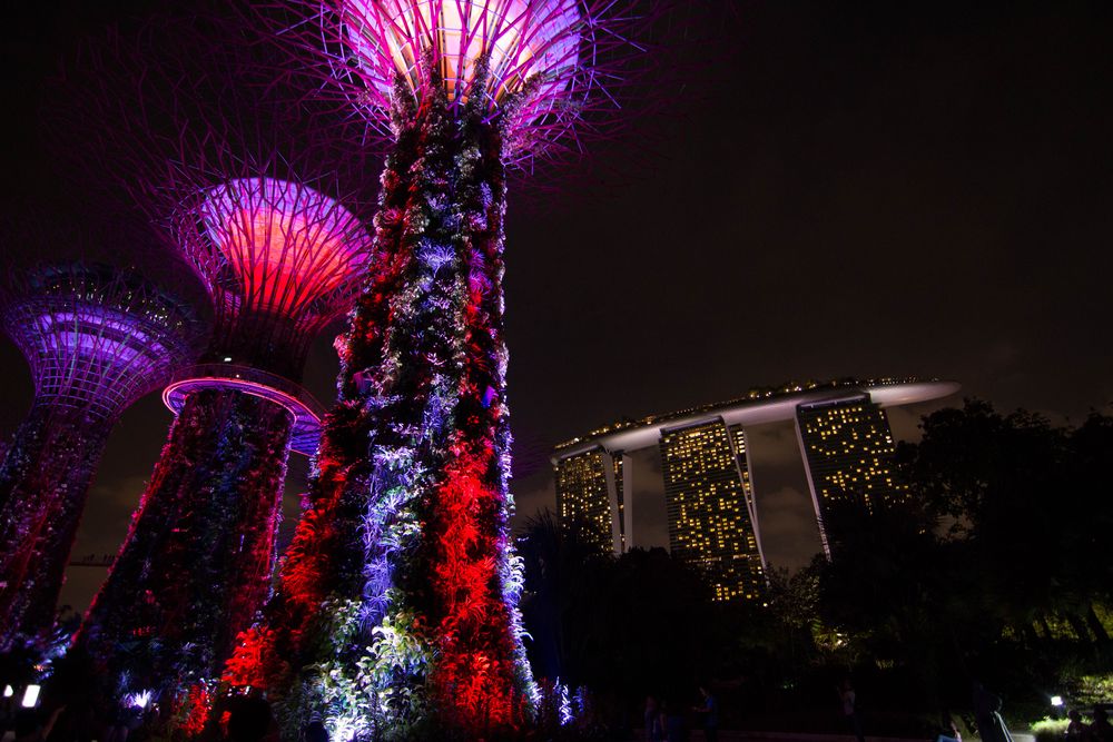 Marina Bay Sands und Gardens by the Bay Foto & Bild | asia, singapore, southeast asia Bilder auf ...