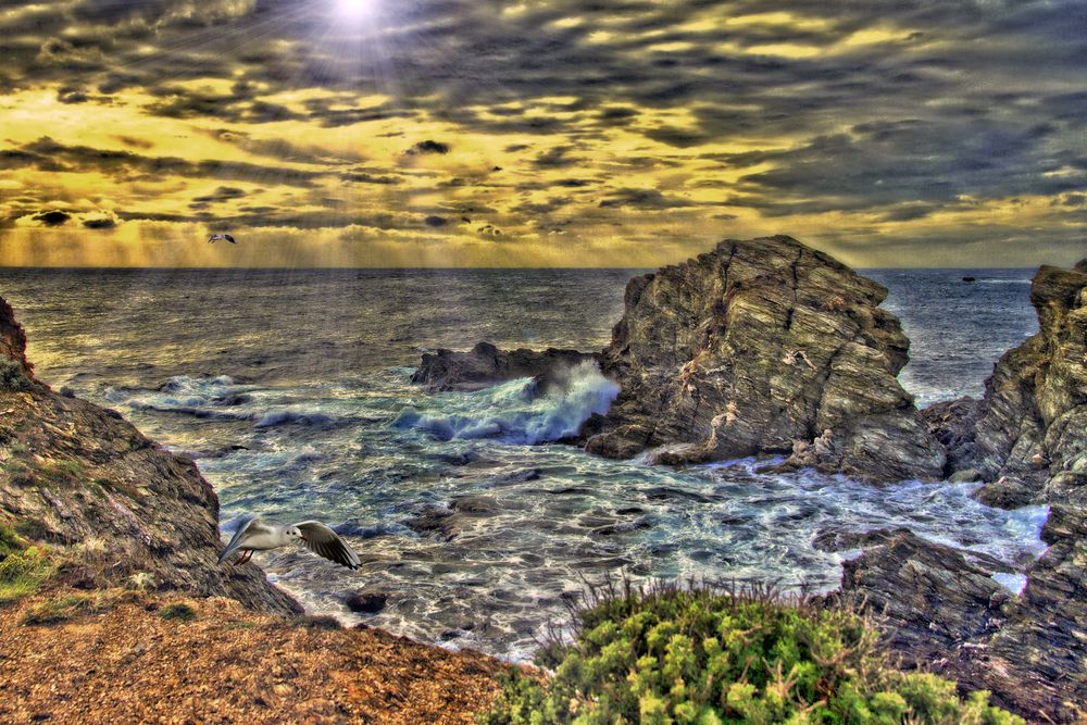 Marine imaginaire photo et image | fotos, nature, world Images ...