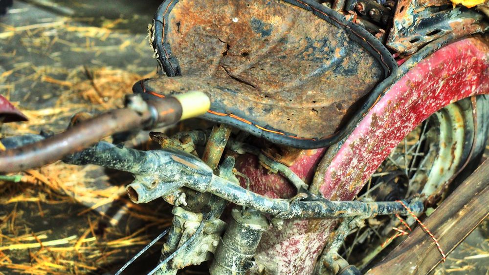 Marode Foto & Bild | monatswettbewerbe, 2022, 03 marode strukturen ...