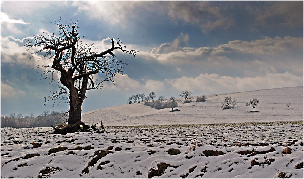 Marode Foto & Bild | landschaft, Äcker, felder & wiesen, schnee Bilder ...