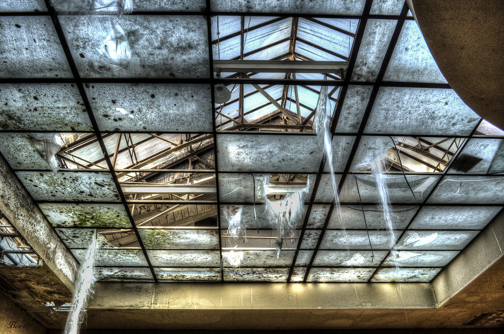 marode Glasdachkonstruktion ... Foto & Bild | marodes, specials, glas ...
