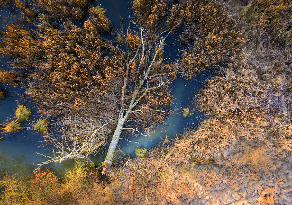 Marode Natur Foto & Bild | landschaft, moor, bach, fluss & see Bilder ...