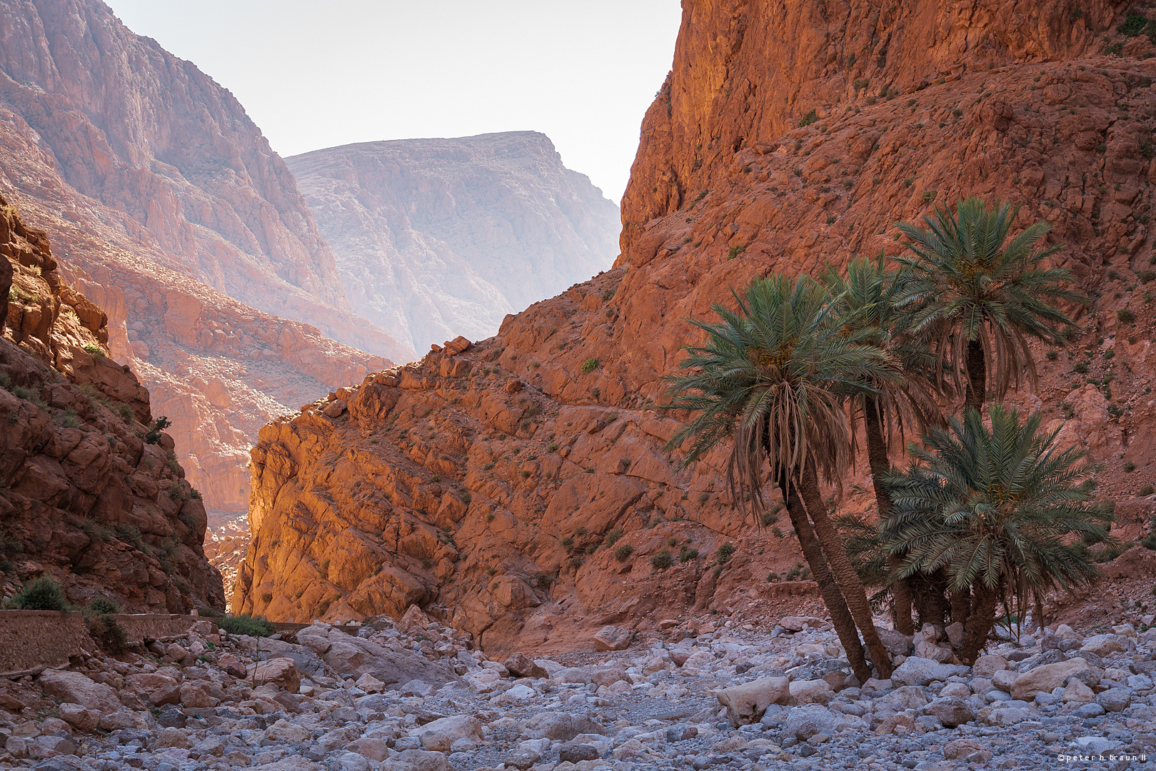 Marokko -Die Landschaften #5 Foto & Bild | world, bäume, natur Bilder ...