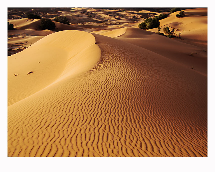 Marokko - Sahara Impression III Foto & Bild | africa, western africa ...