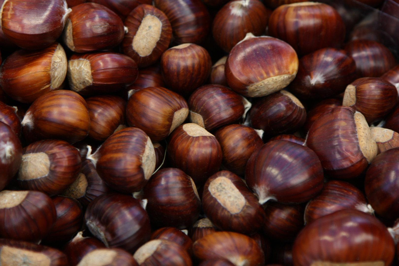 Maroni Foto & Bild | winter, weihnachtsmarkt, natur Bilder auf ...