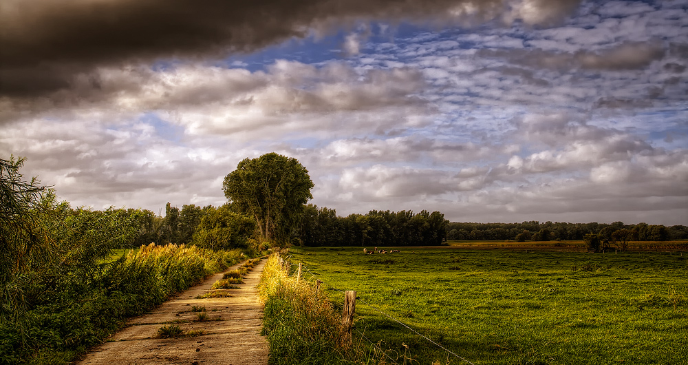 Marsch - Bild & Foto von Mathias Kentrup aus Landschaft - Fotografie ...