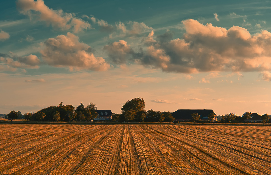 Marschland Foto & Bild | deutschland, europe, schleswig- holstein ...