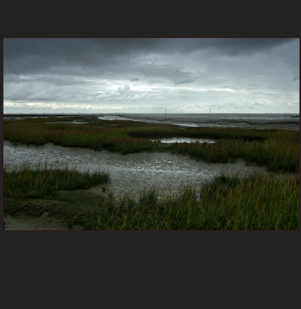 Marschland Foto & Bild | deutschland, europe, schleswig- holstein ...