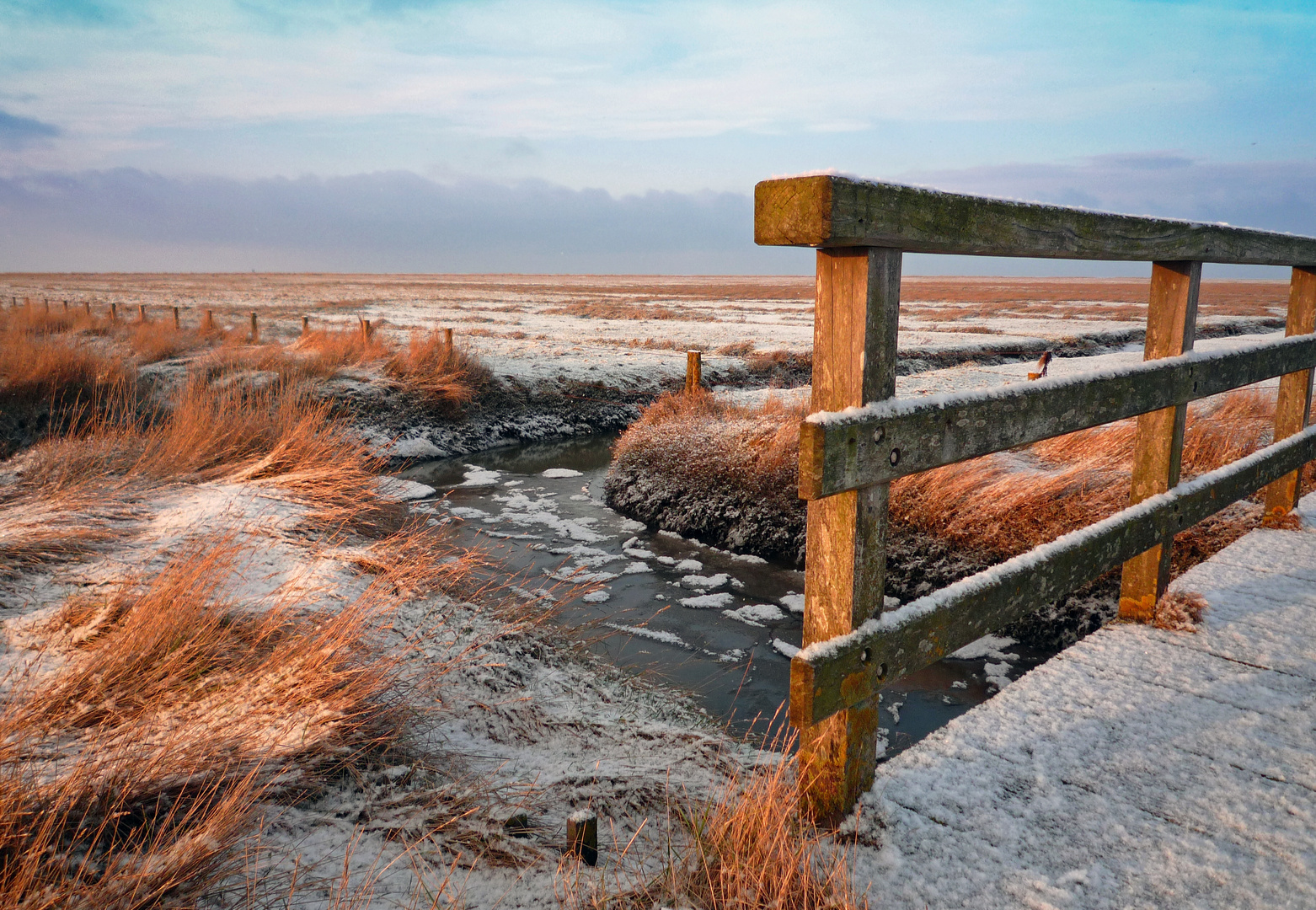 Marschland Foto & Bild | landschaft, natur Bilder auf fotocommunity