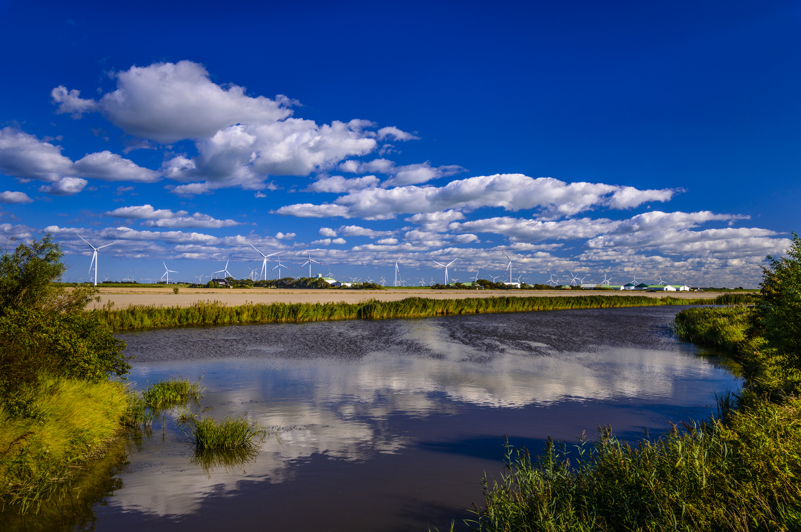 Marschland, Nordfriesland Foto & Bild | sommer, wasser, blau Bilder auf ...