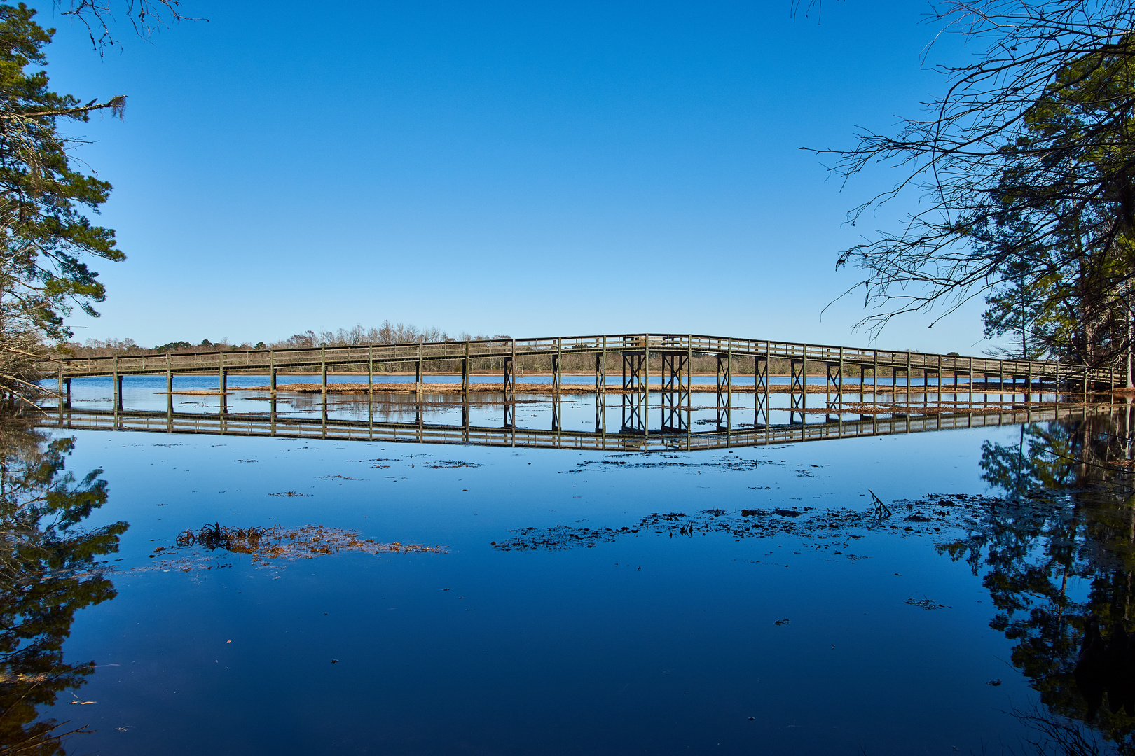 Martin Dies Jr. SP Foto & Bild | world, north america, texas Bilder auf ...