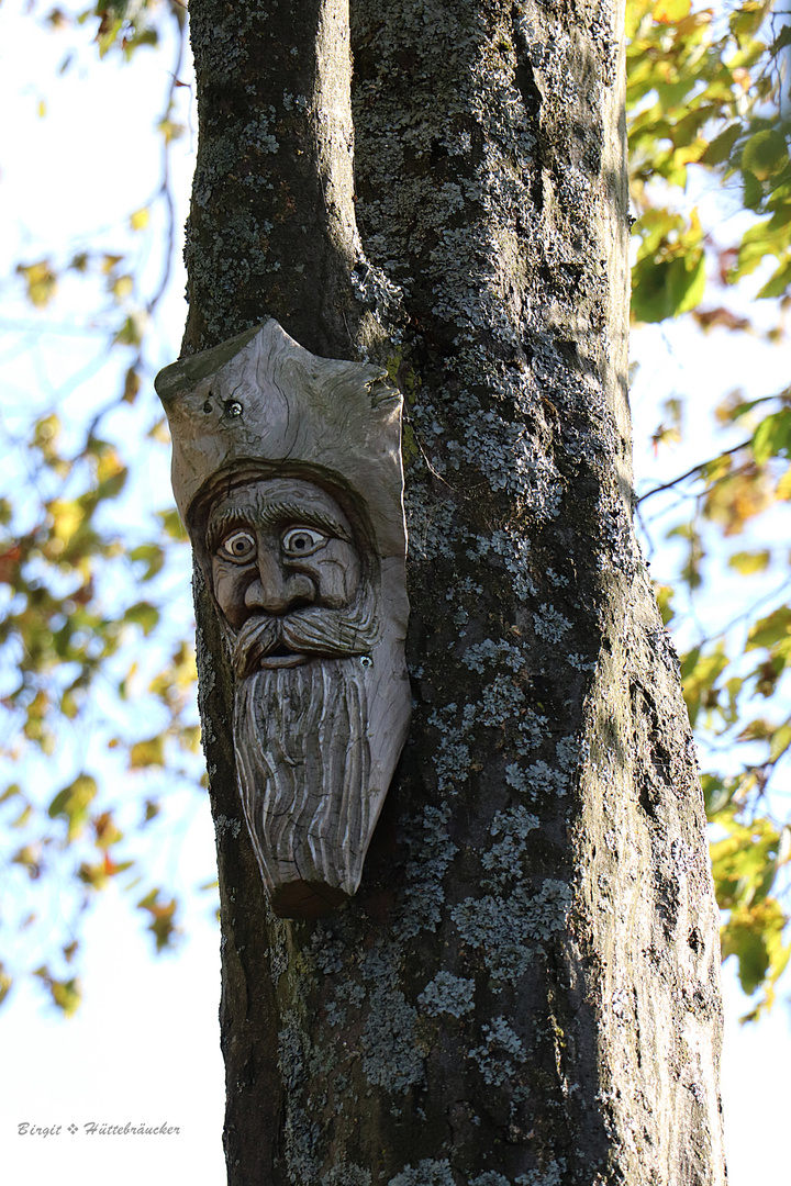 Maskerade Foto & Bild | deutschland, europe, nordrhein- westfalen ...