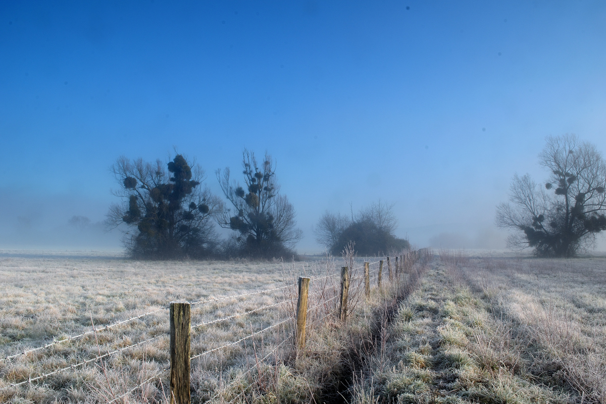 Matin Brumeux photo et image | paysages, paysages de campagne, lumieres ...