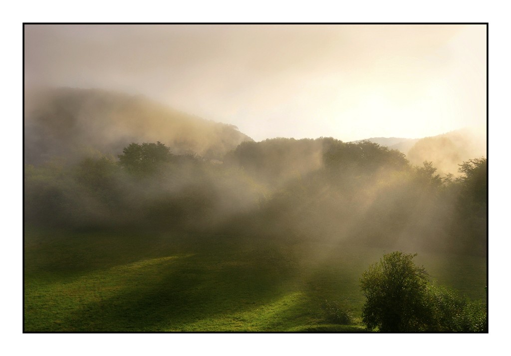 matin brumeux photo et image | paysages, paysages de campagne, nature ...