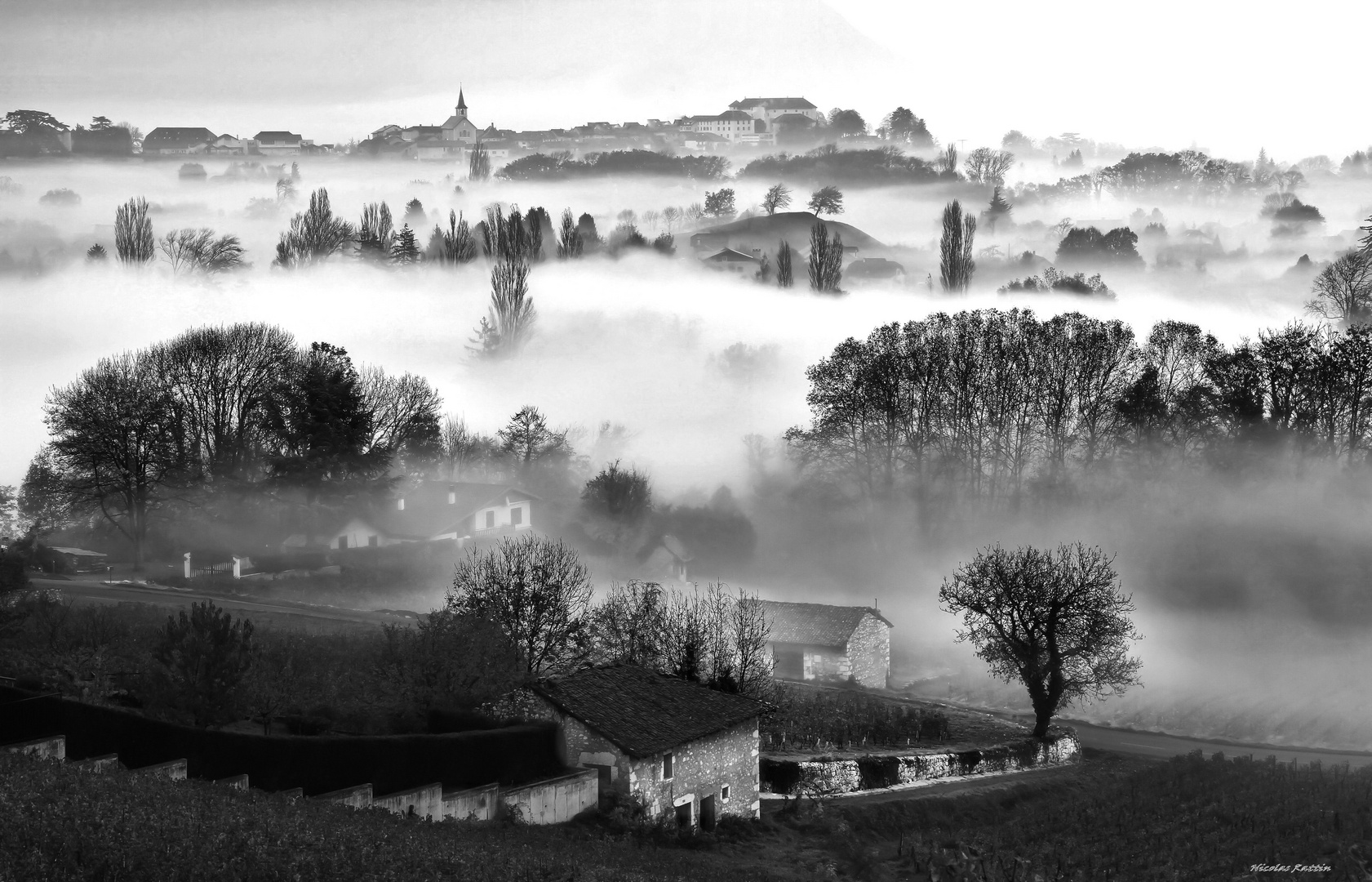 Matin brumeux photo et image | paysages, paysages de campagne, rattin ...