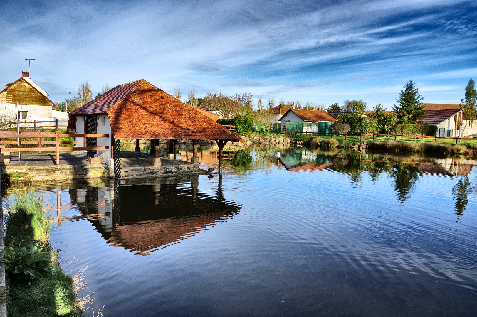 matin calme photo et image | concours libre, nature, arbre Images ...