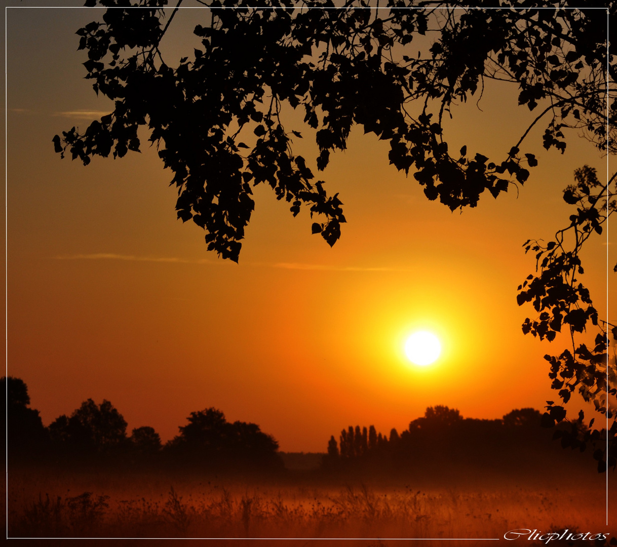 matin d'automne. photo et image | paysages, nature Images fotocommunity