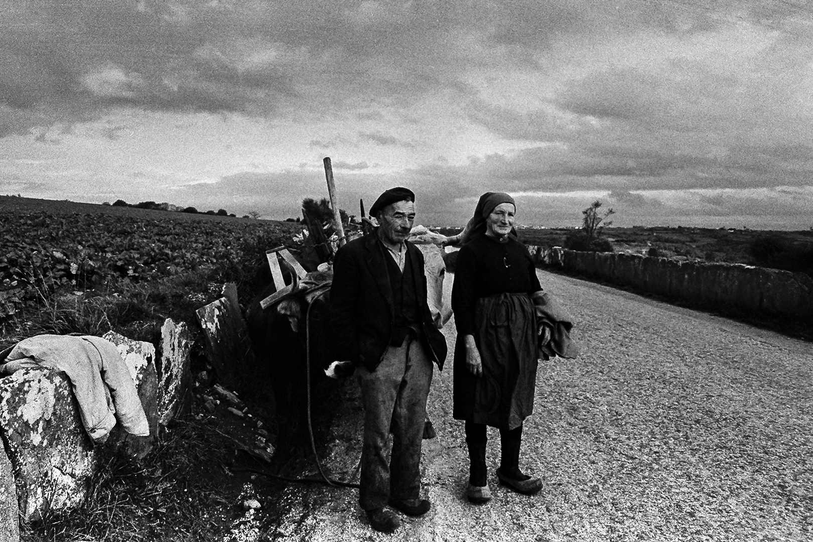 MATRIMONIO LABRIEGO Imagen & Foto | siglo xx, labradores, motivos Fotos ...