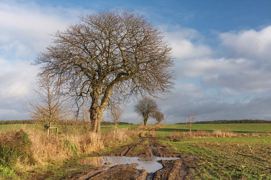 Matsch ist wieder in Foto & Bild | landschaft, wege und pfade, weg ...