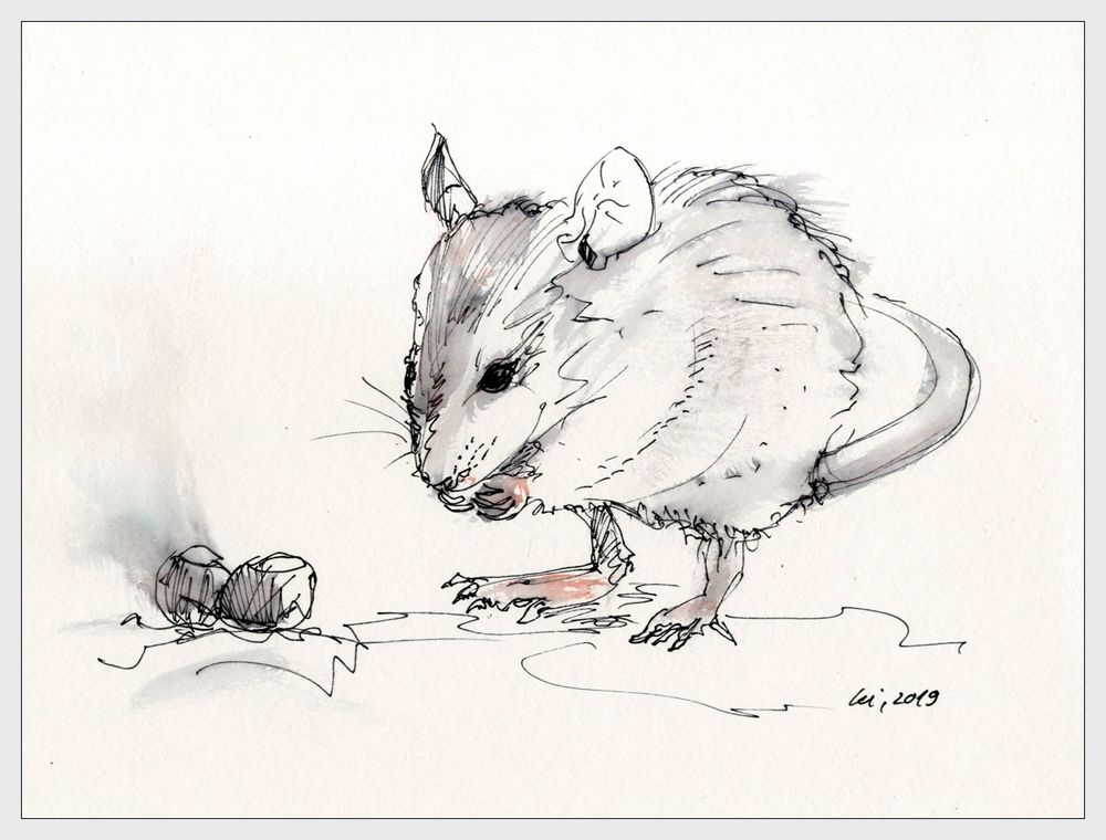 Maus Foto & Bild | kunstfotografie & kultur, gemälde & skulpturen ...