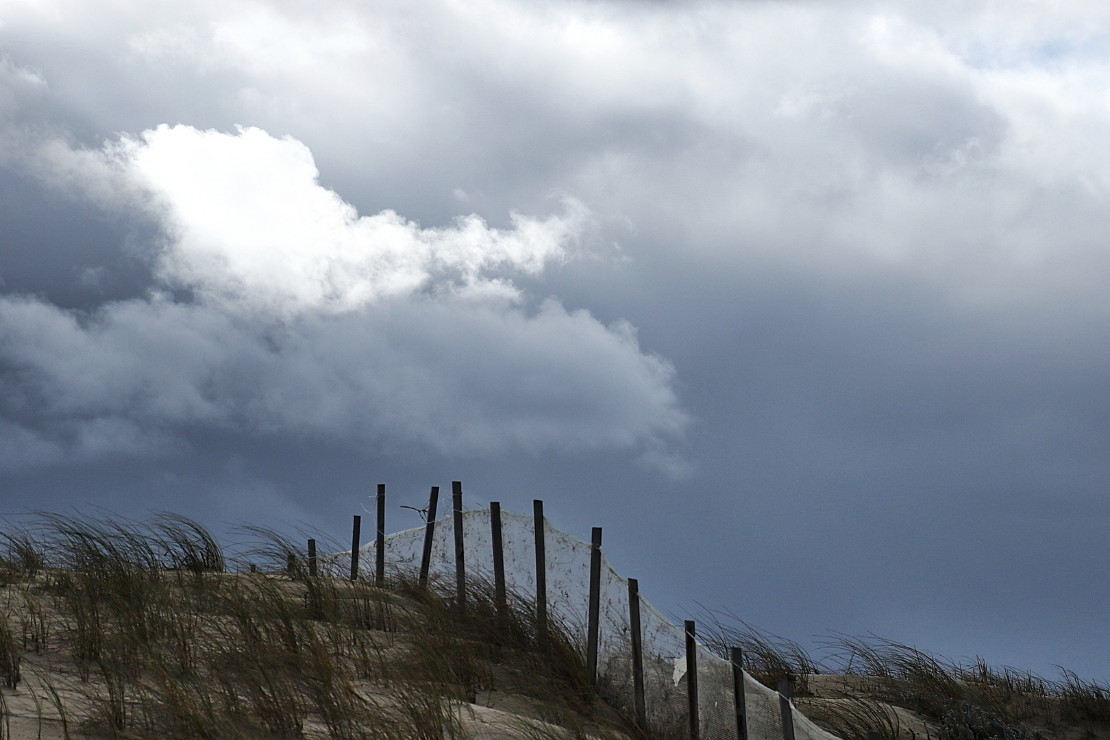 mauvais temps ! photo et image | nature Images fotocommunity