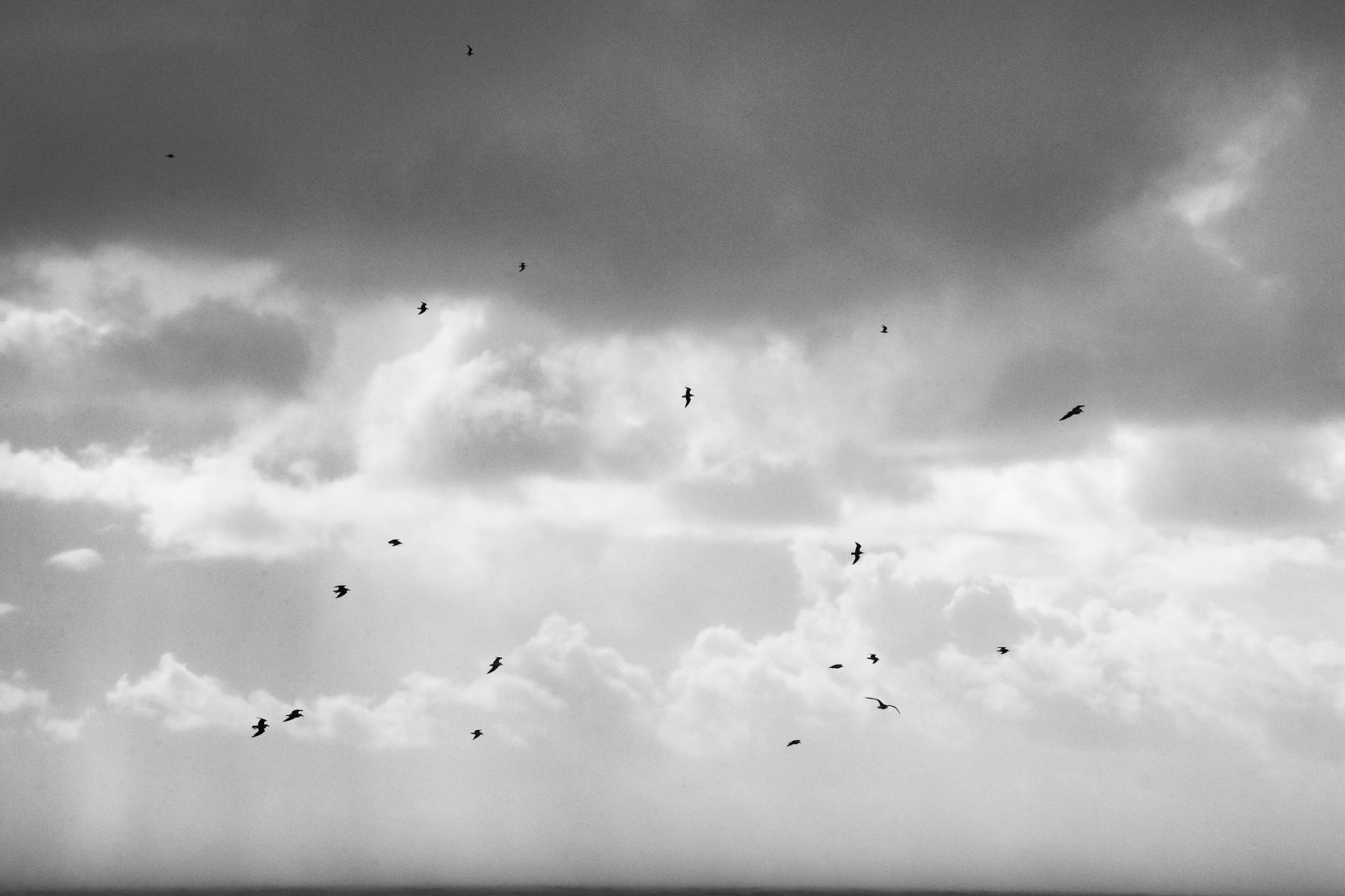 mauvais temps !!!! photo et image | animations photographiques, special ...