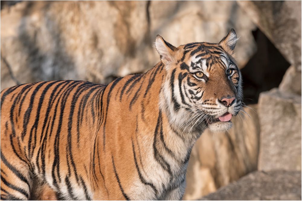 Mayang..... Foto & Bild | nature, world, berlin Bilder auf fotocommunity