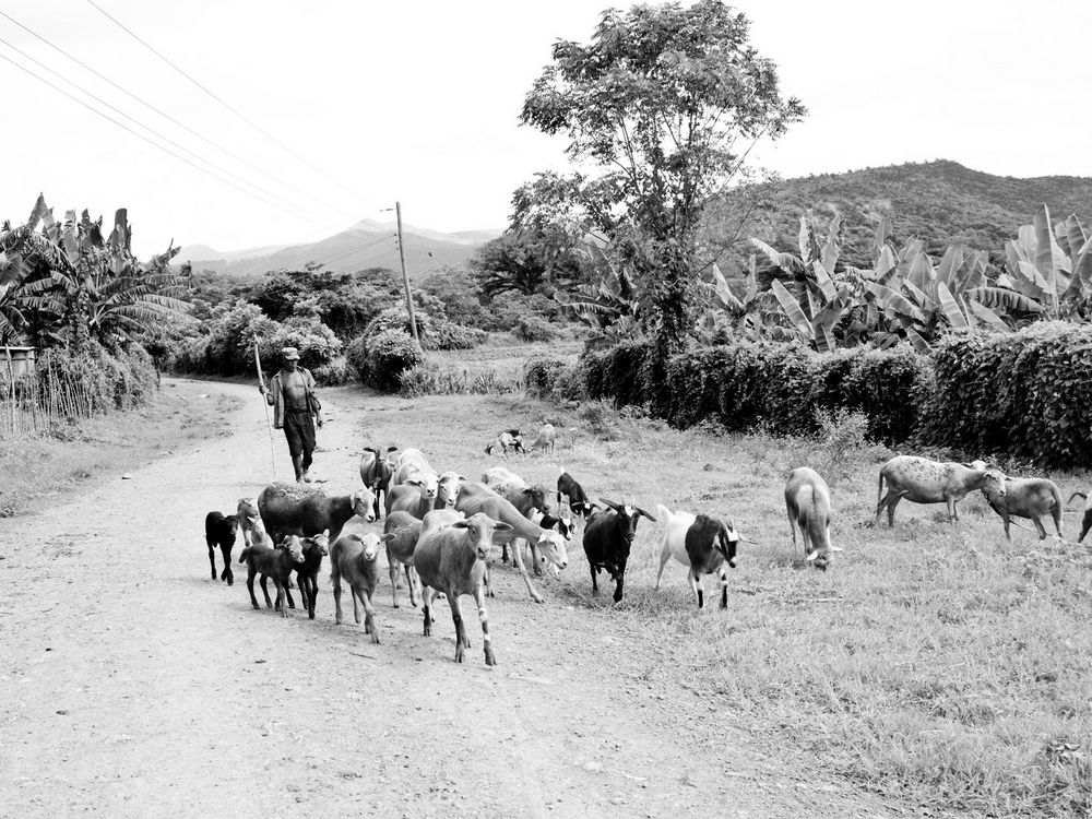 mayari-arriba_0502 Foto & Bild | north america, central america ...