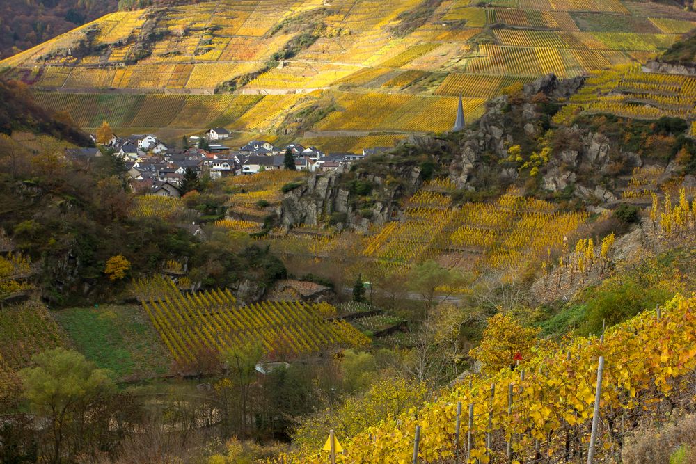 Mayschoß Foto & Bild | deutschland, europe, rheinland-pfalz Bilder auf ...