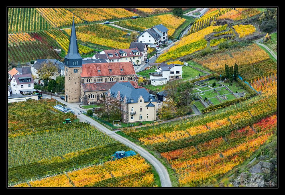 Mayschoss #3 Foto & Bild | deutschland, europe, rheinland-pfalz Bilder auf fotocommunity