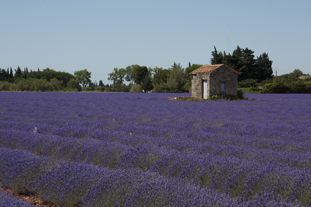 Mazet photo et image | paysages, paysages de campagne, nature Images ...