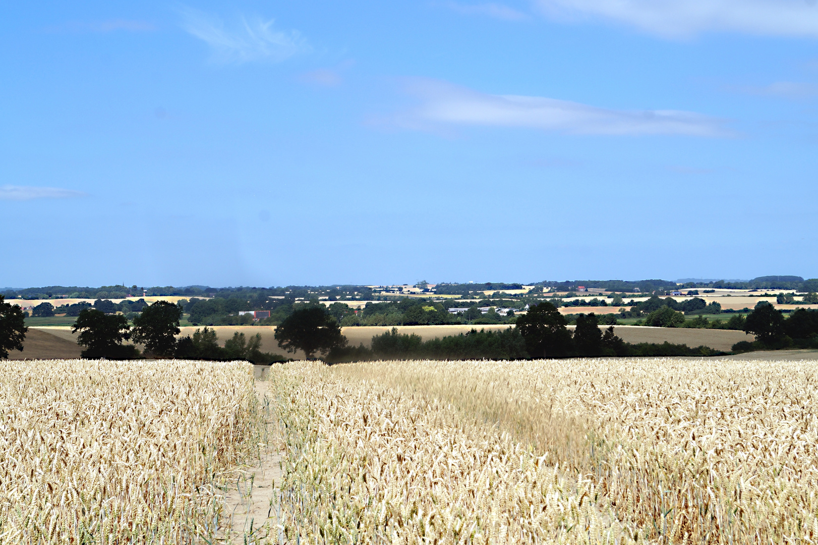 Mecklenburger Land Foto & Bild | landschaft, lebensräume, himmel Bilder ...
