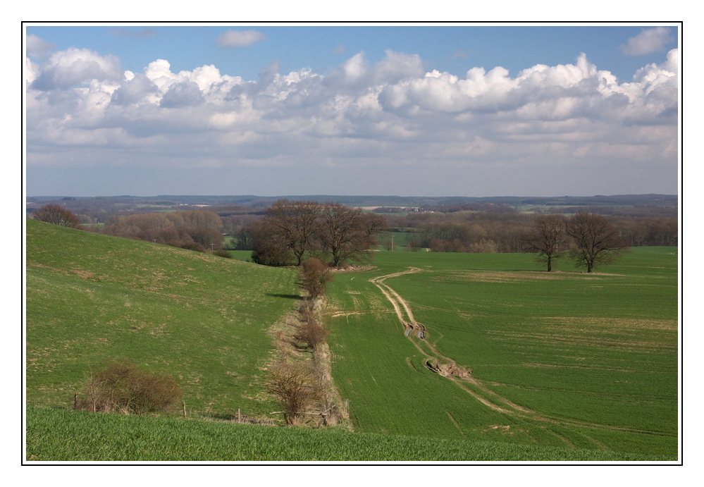 Mecklenburger Land Foto & Bild | archiv projekte naturchannel ...