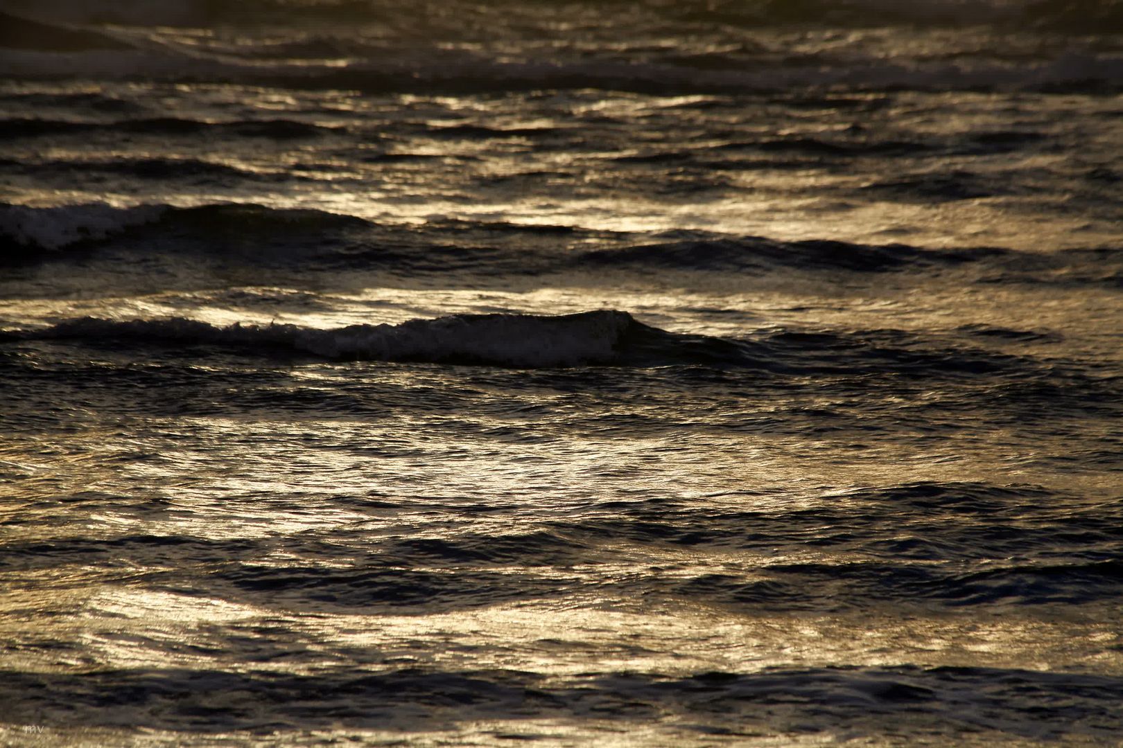 Meer Foto & Bild | Bilder auf fotocommunity