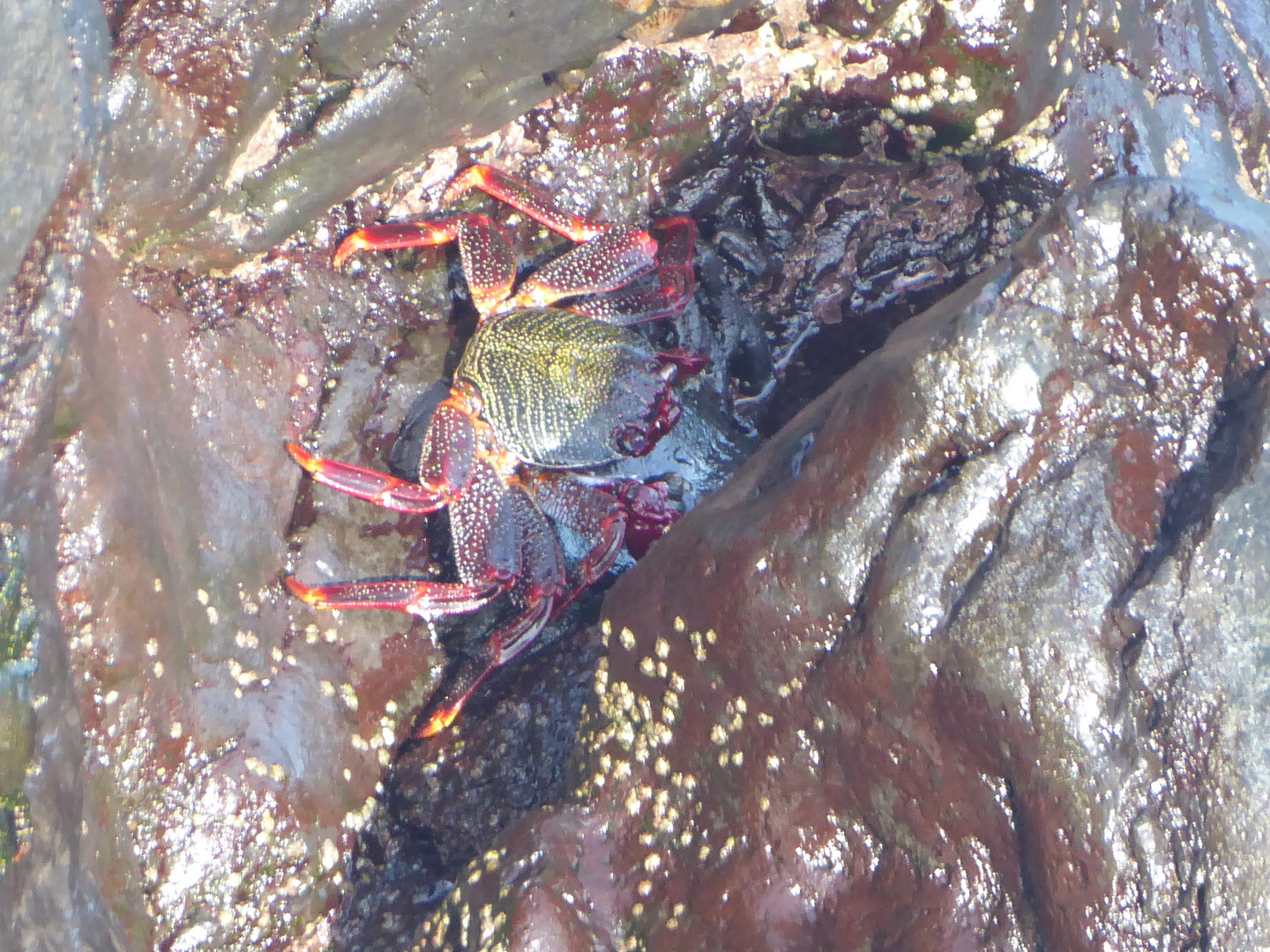 Meer abstrakt... Foto & Bild | projekte, 7 - sonntags abstrakt ...