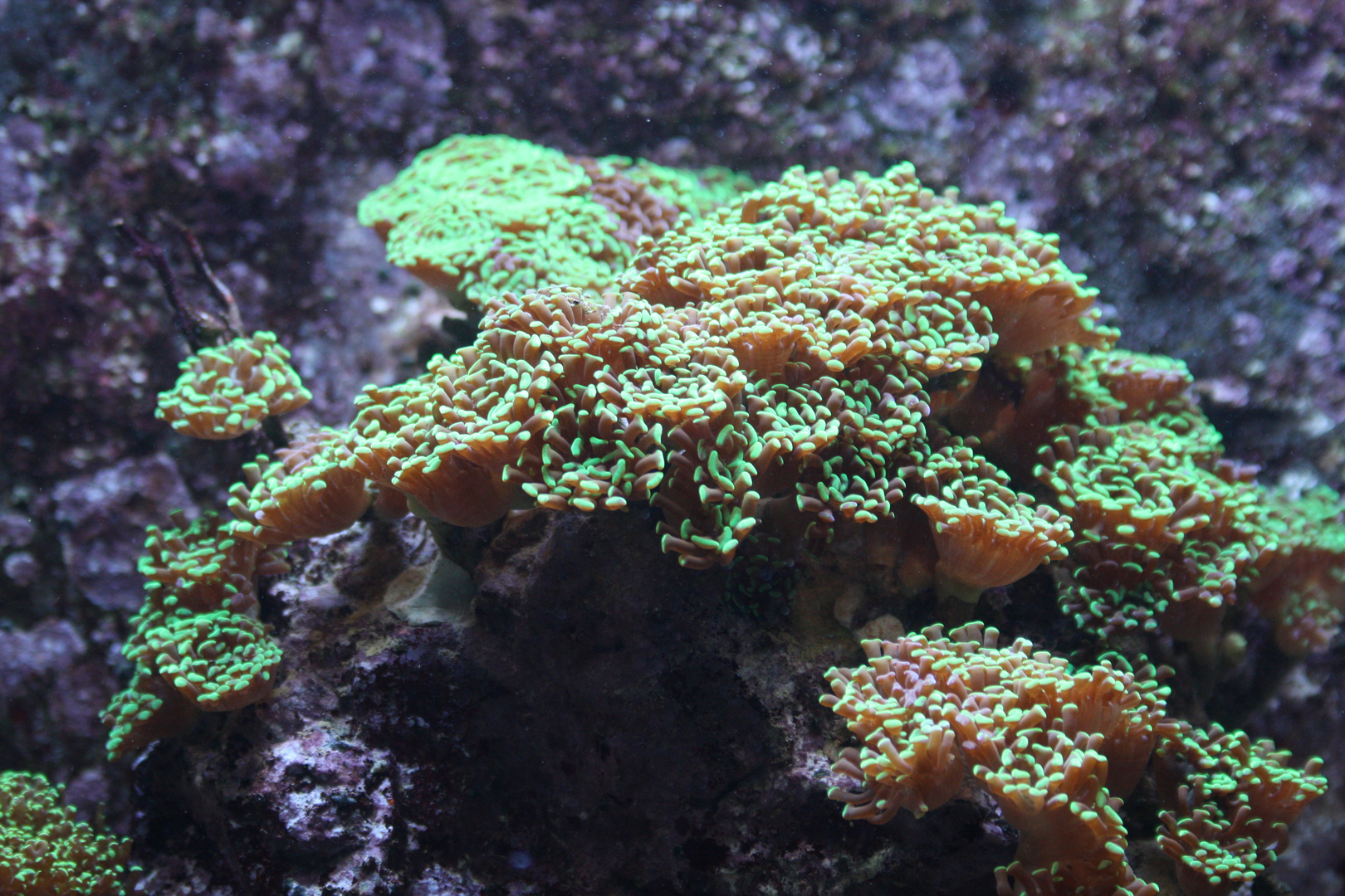 Meer Foto & Bild | sonstiges, natur Bilder auf fotocommunity