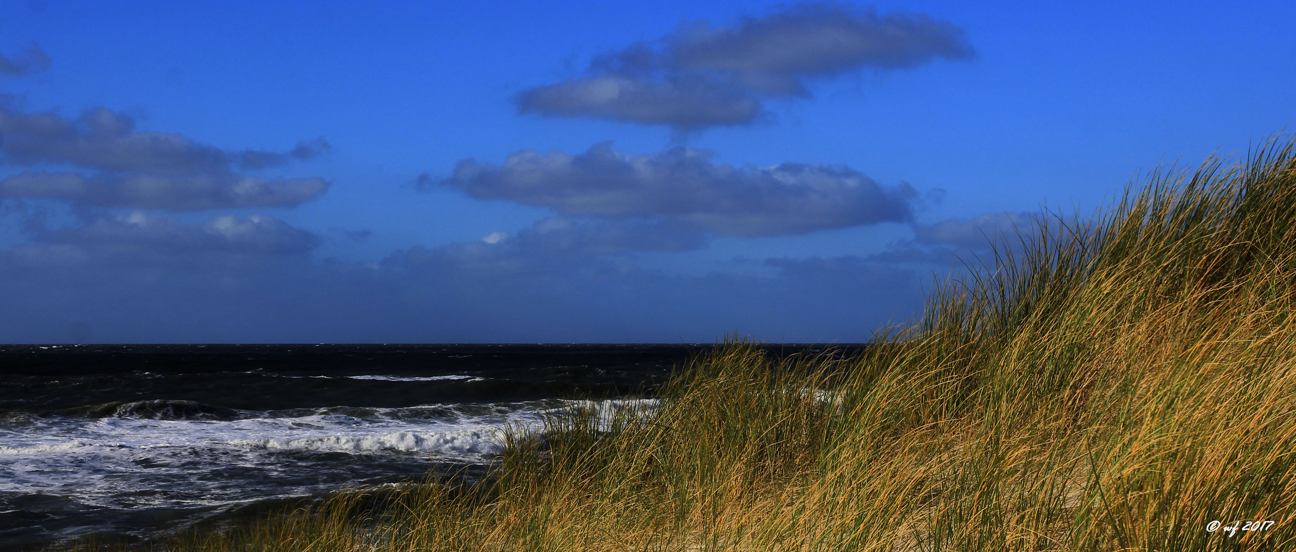 Meer trifft Strandhafer Foto & Bild | sylt, natur, landschaft Bilder ...