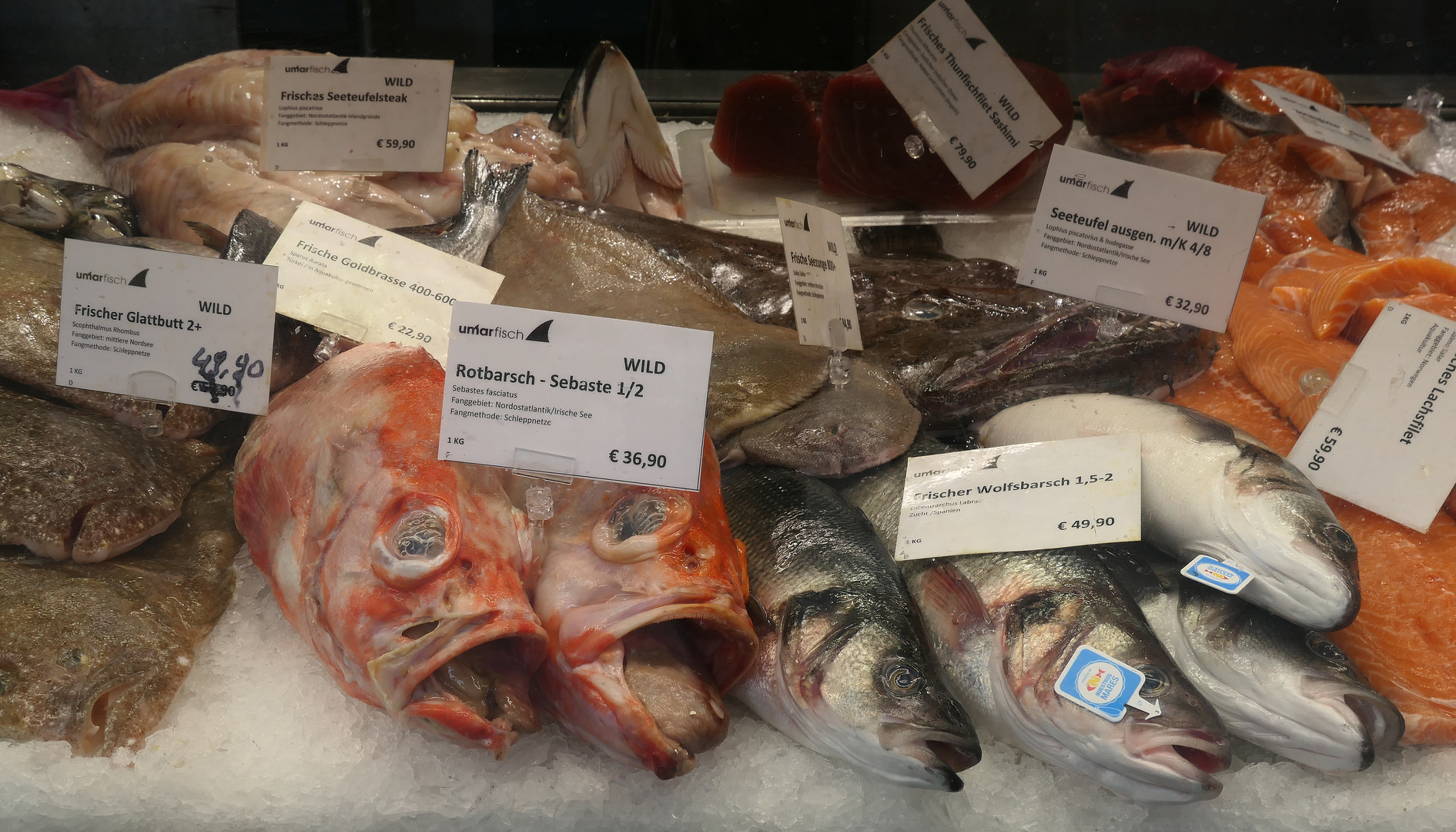 Meeresfische Foto & Bild | europe, stillleben, Österreich Bilder auf ...